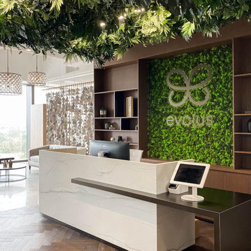 ONE : MAPLE | EVOLUS