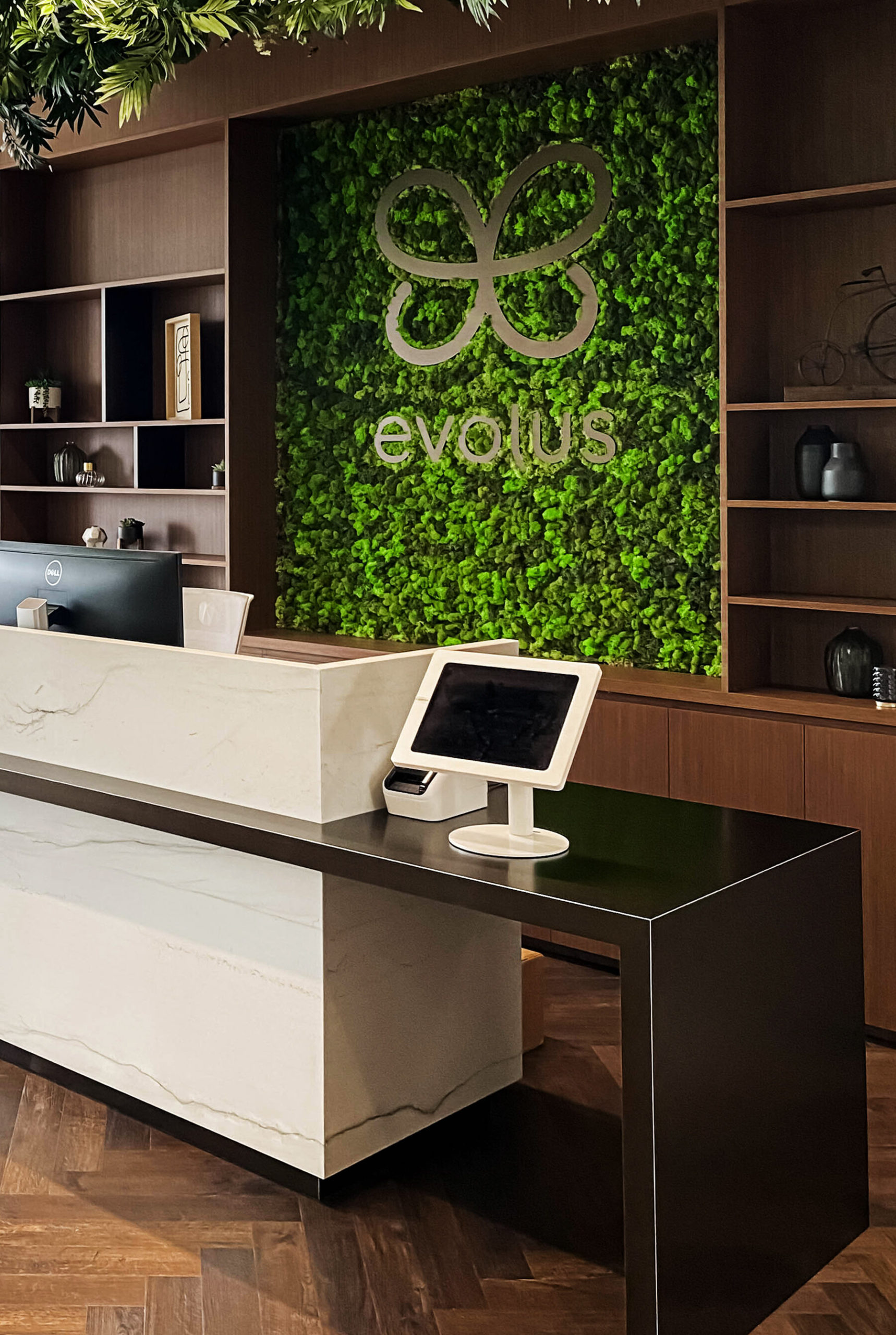 ONE : MAPLE | EVOLUS