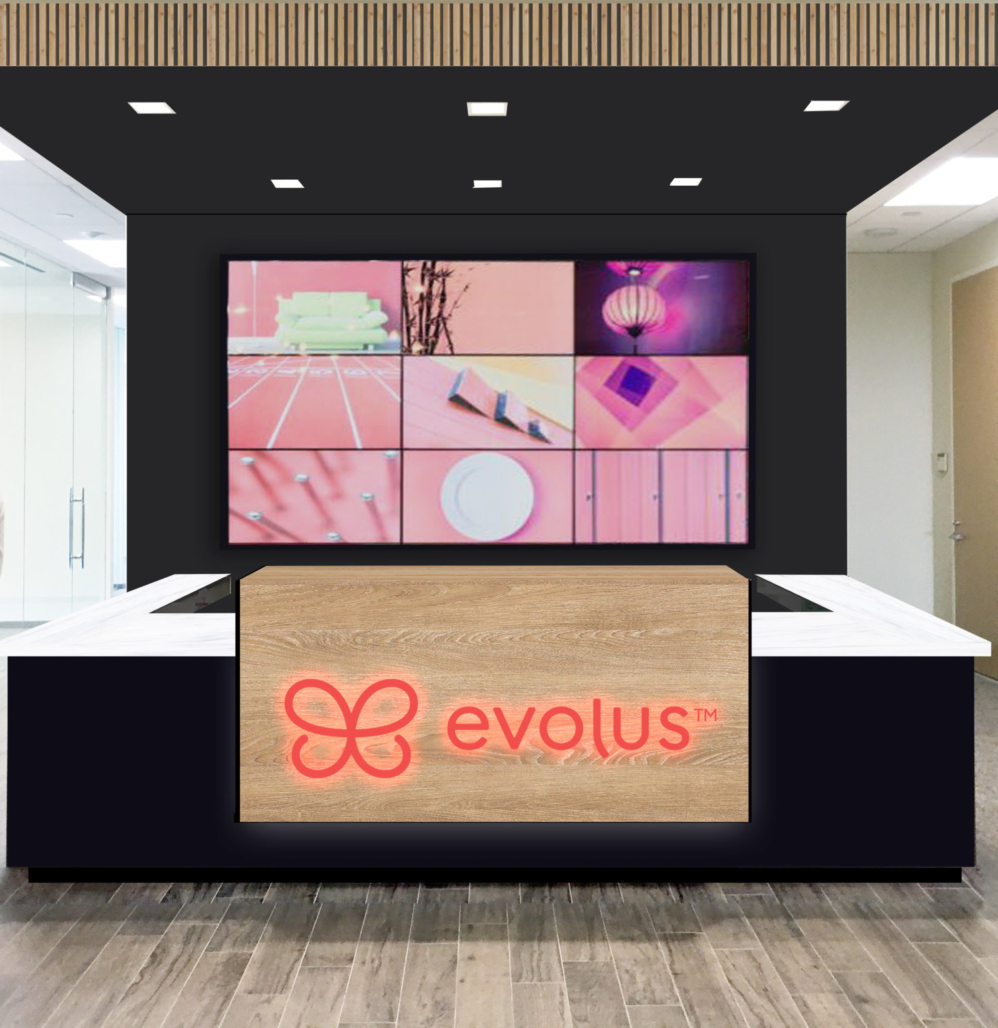 ONE : MAPLE | EVOLUS